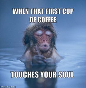 75 Funny Coffee Memes To Brighten Up Your Day