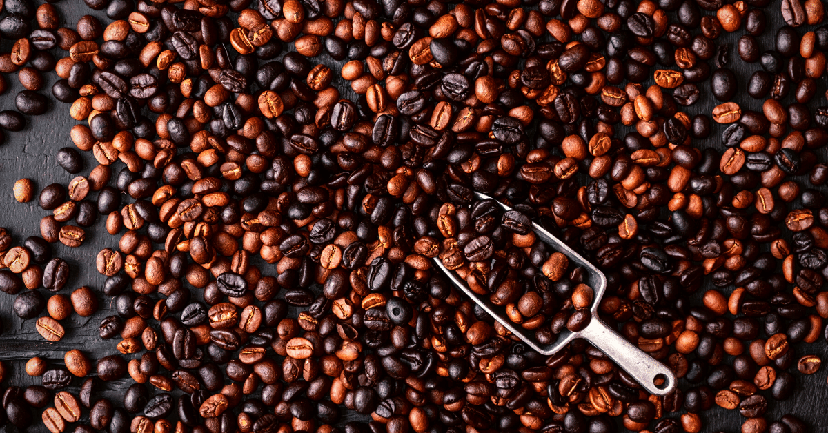 Dark Roast Vs Medium Roast: What's The Difference?