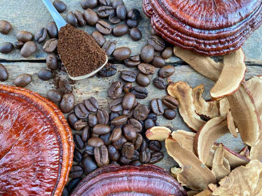 What Is Ganoderma Coffee? Answered